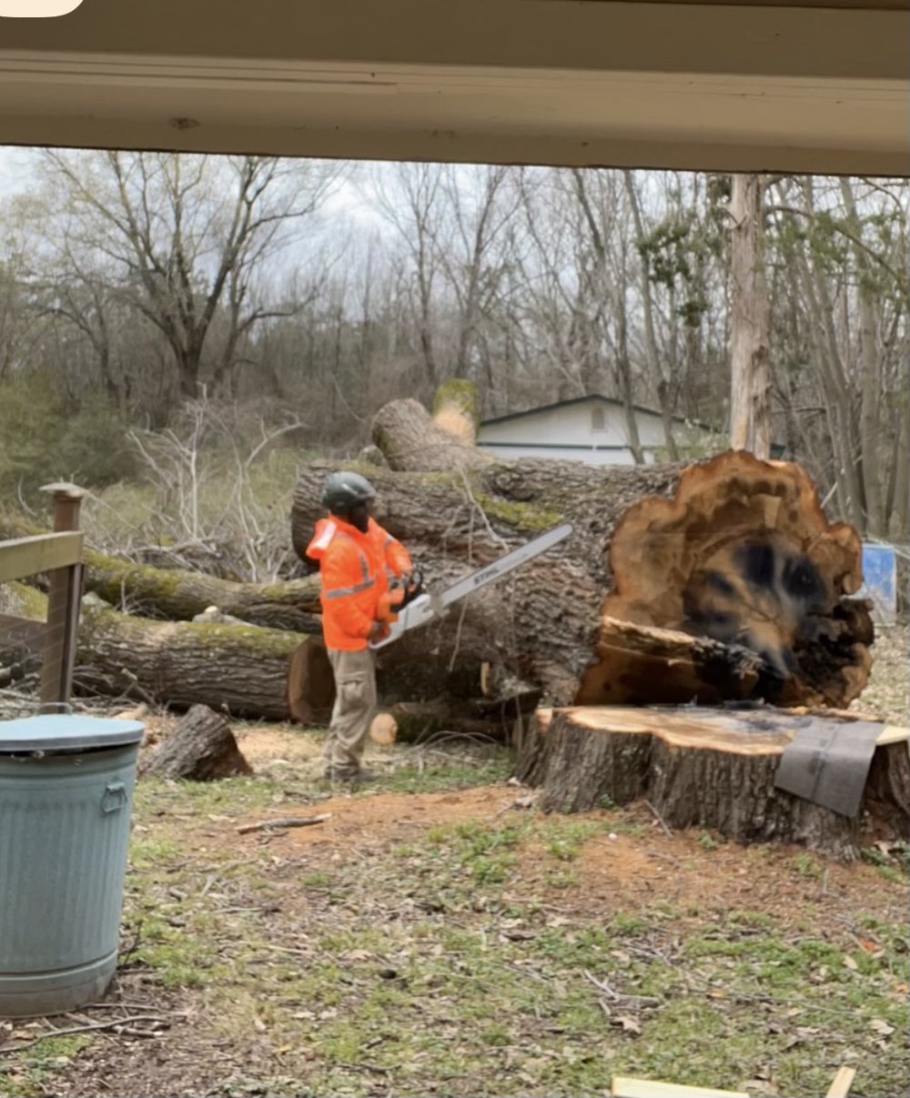 Our Services. – DOCTOR LANDSCAPING